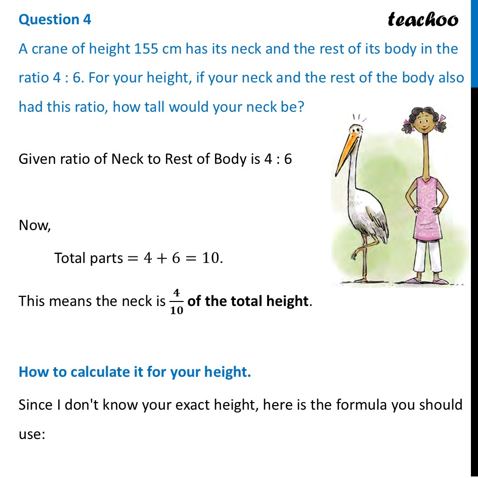 A crane of height 155 cm has its neck and the rest of its body in