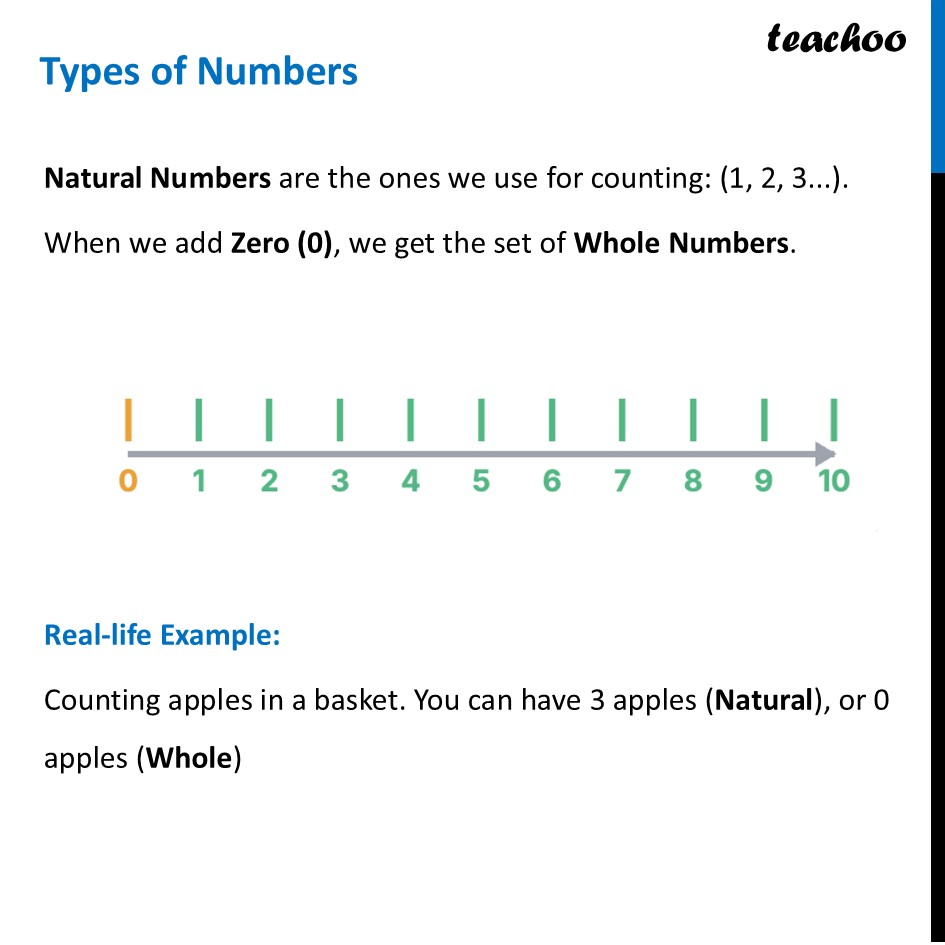 Types of Numbers – Explained Clearly with Real-Life Examples