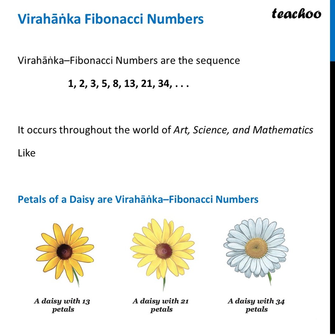Virahāṅka Fibonacci Numbers - Definition + Real life Examples