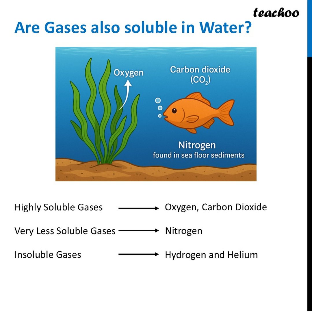 Soluble and Insoluble Materials [Class 6 Curiosity] - Teachoo