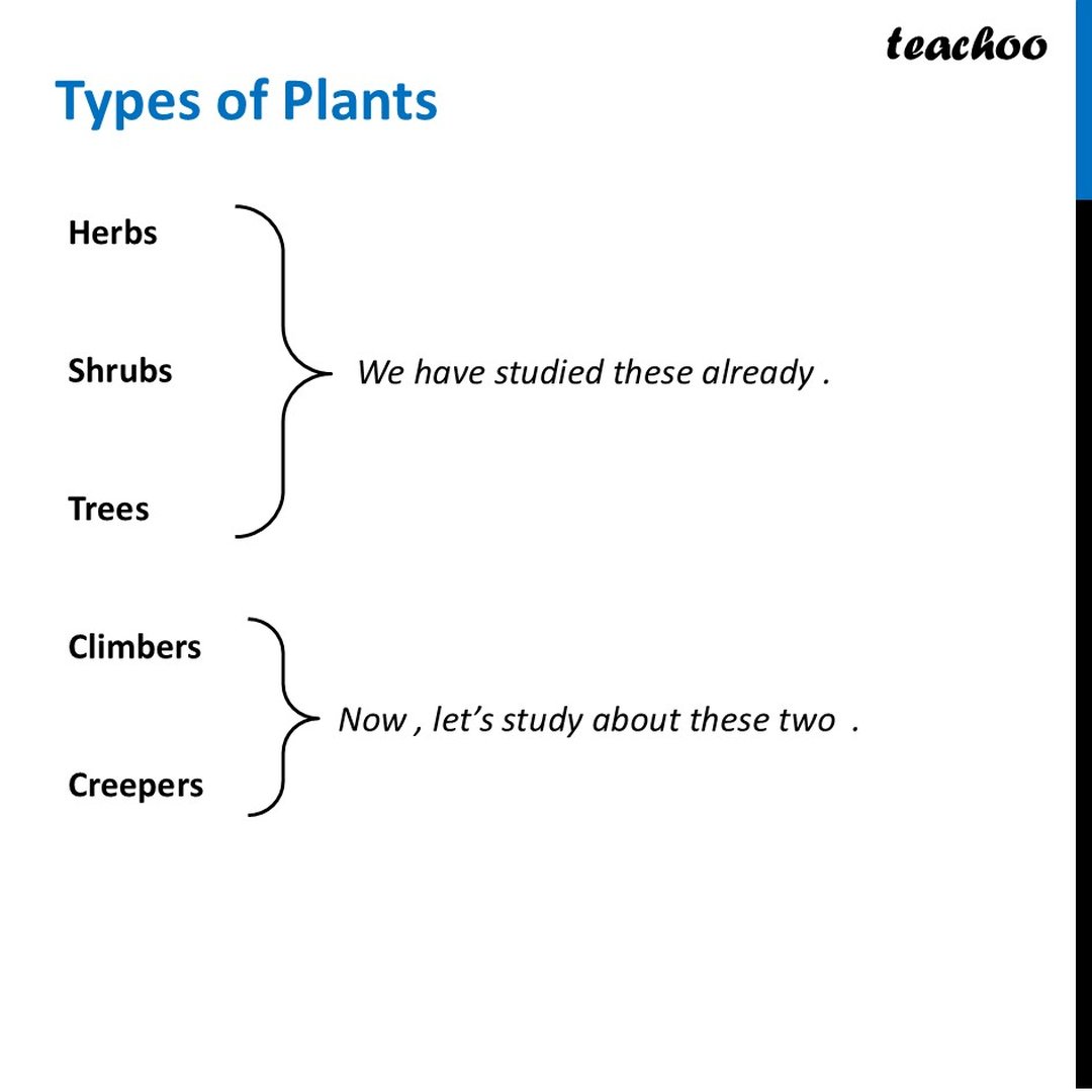 What are Climbers and Creepers? - [Diversity In The Living World]