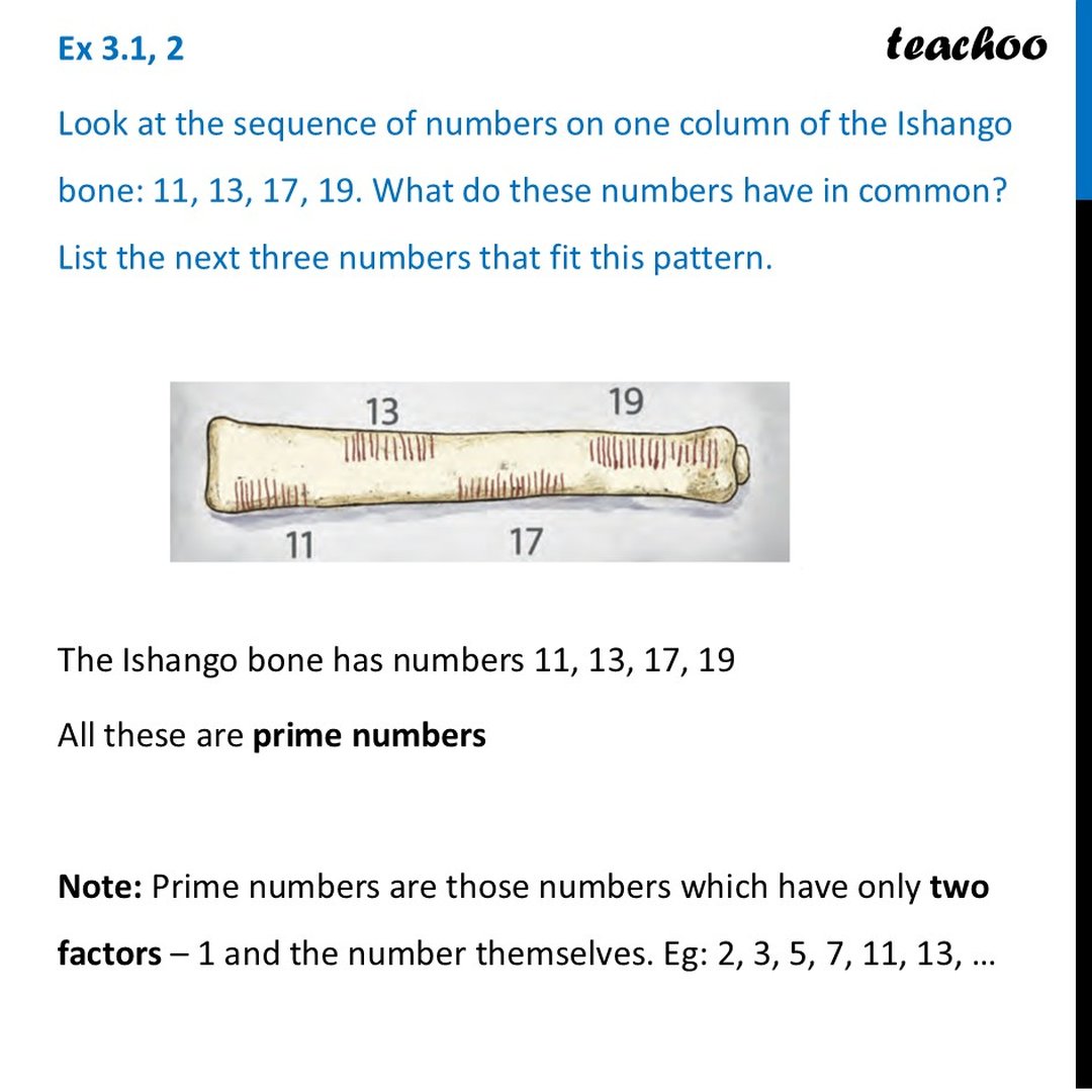 Look at the sequence of numbers on one column of the Ishango bone: 11