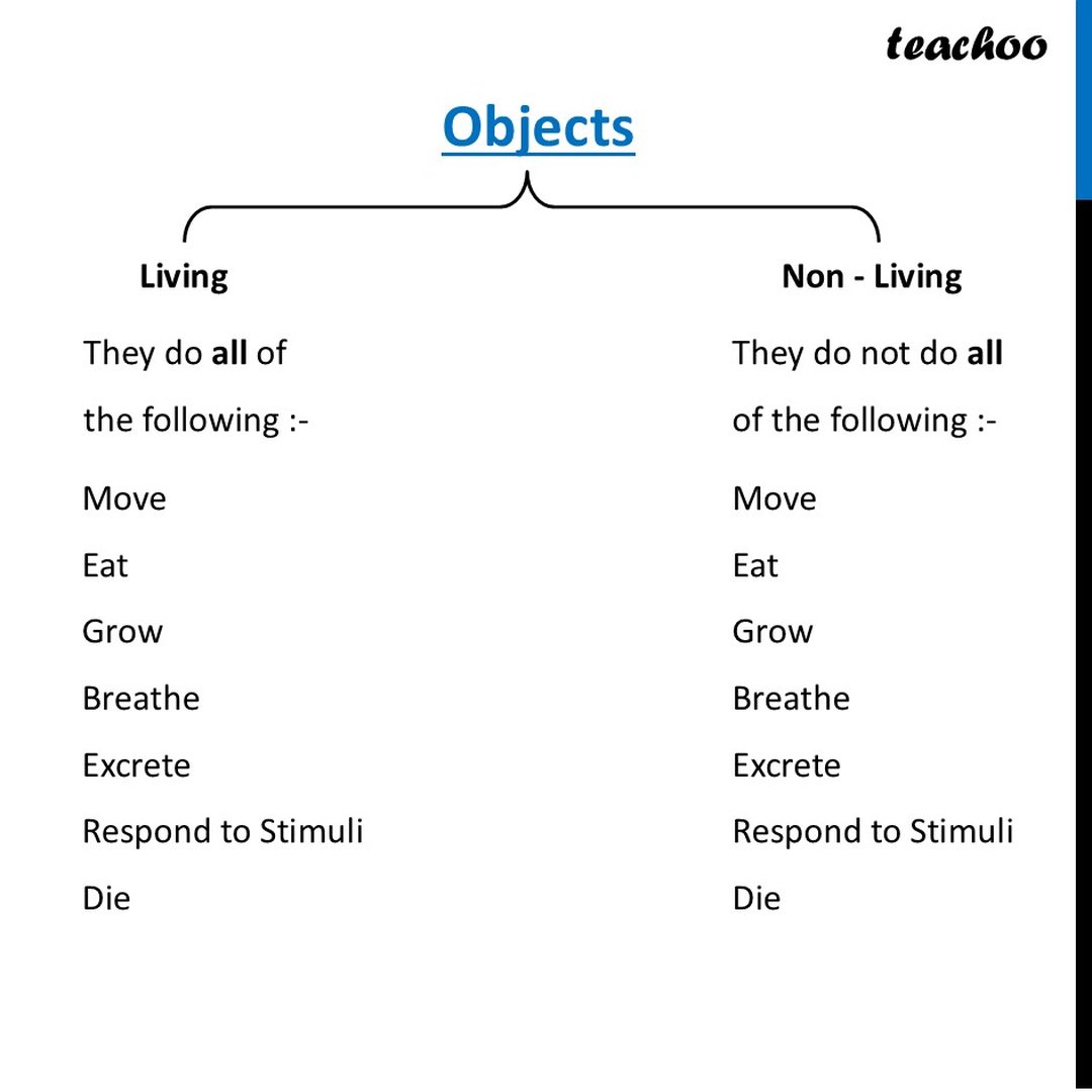 [Class 6 Living Creatures] What are Living and Non-Living objects?