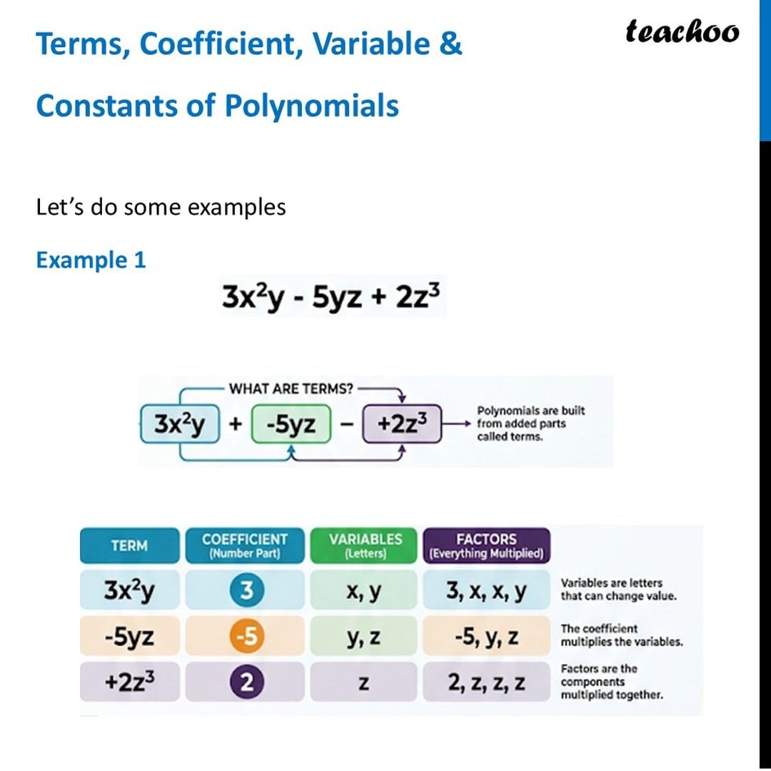 [Class 9] Terms, Coefficient, Variable & Constants of Polynomials
