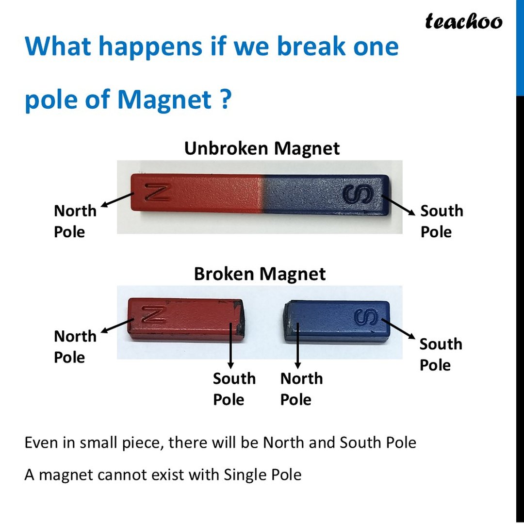 [Exploring Magnets] What are Poles of Magnet? - Class 6 Curiosity