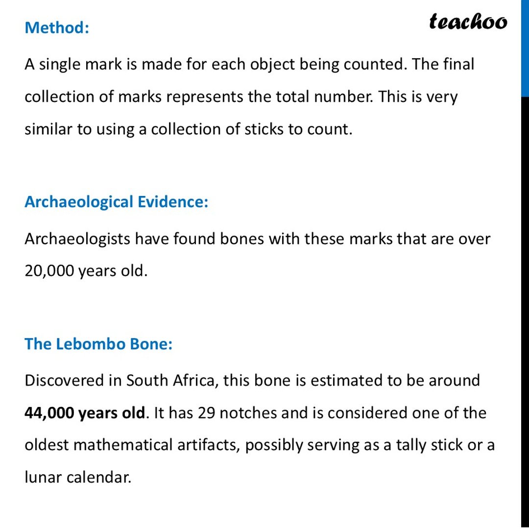 Tally Marks on Bones and other Surfaces [with Examples] - Class 8