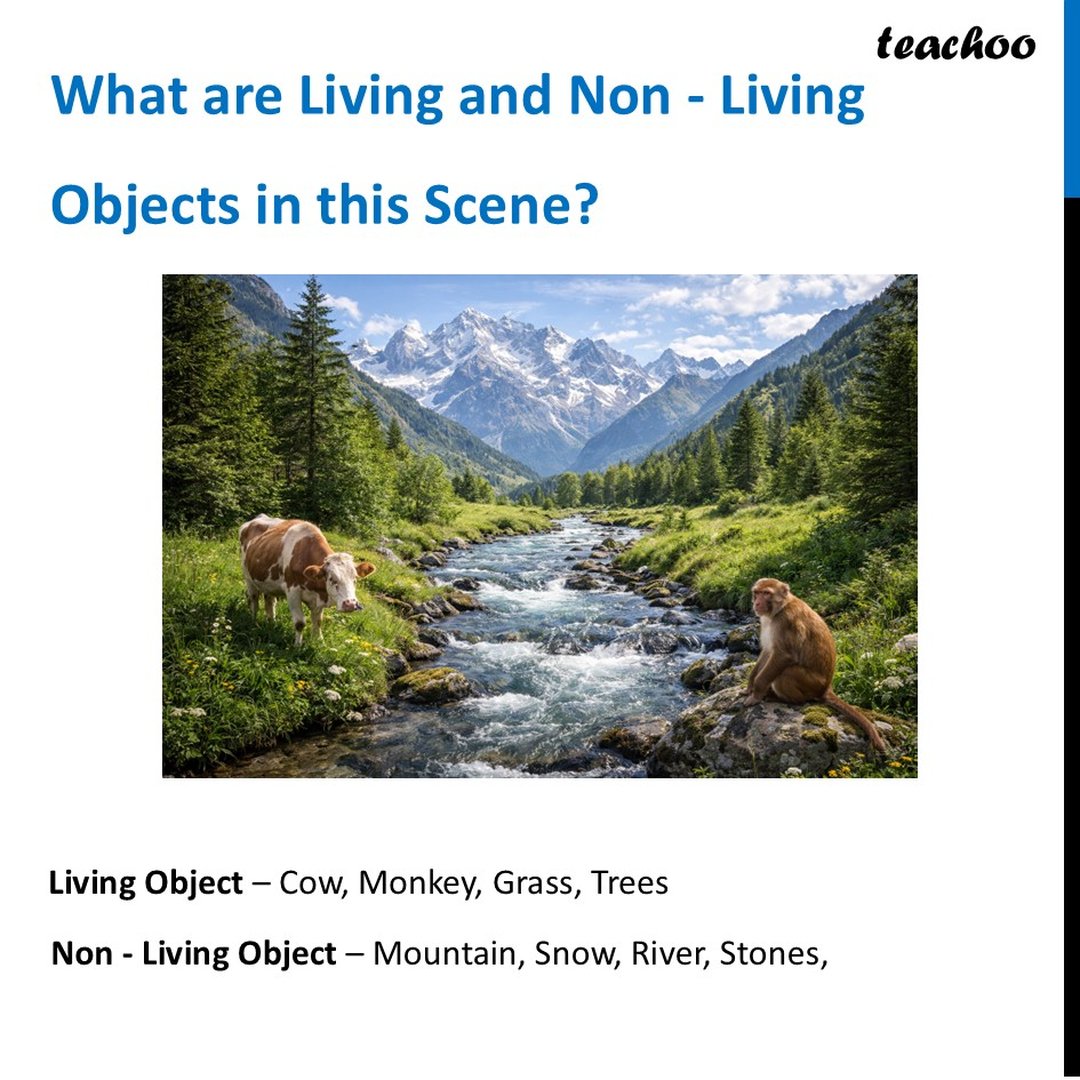 [Class 6 Living Creatures] What are Living and Non-Living objects?