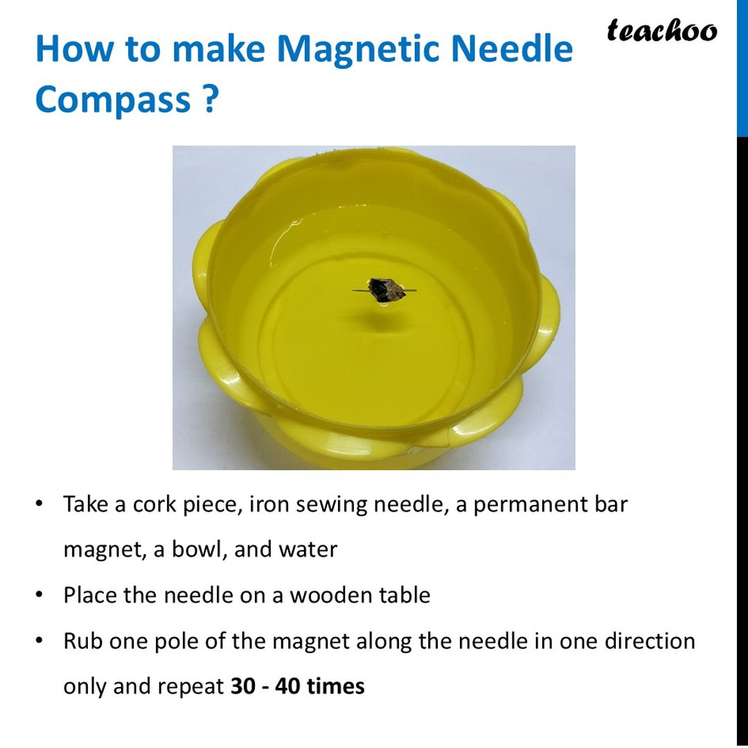 [Exploring Magnets] What are Poles of Magnet? - Class 6 Curiosity