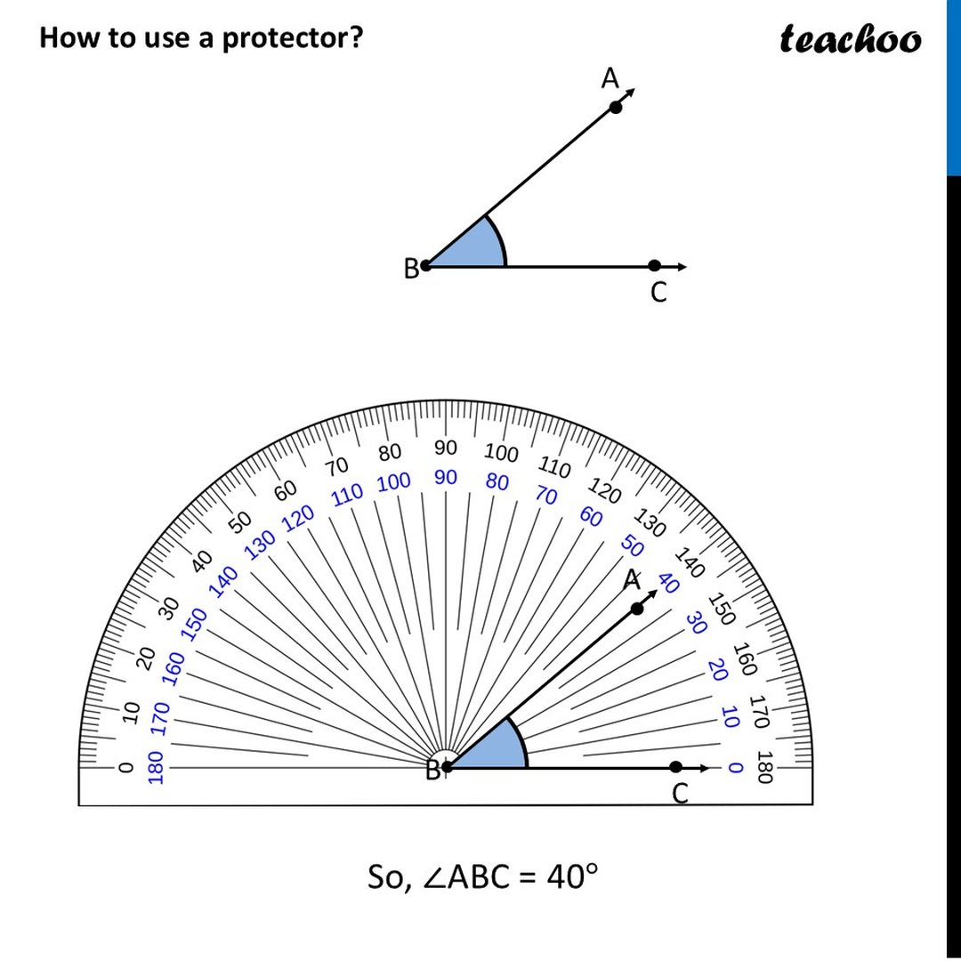 [Class 6 Lines and Angles] Labelled protactor - How to read angles