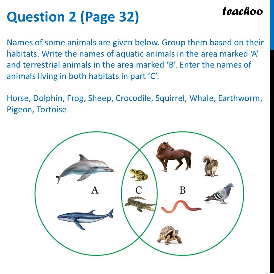 [Curiosity] Names of some animals are given below. Group them based on