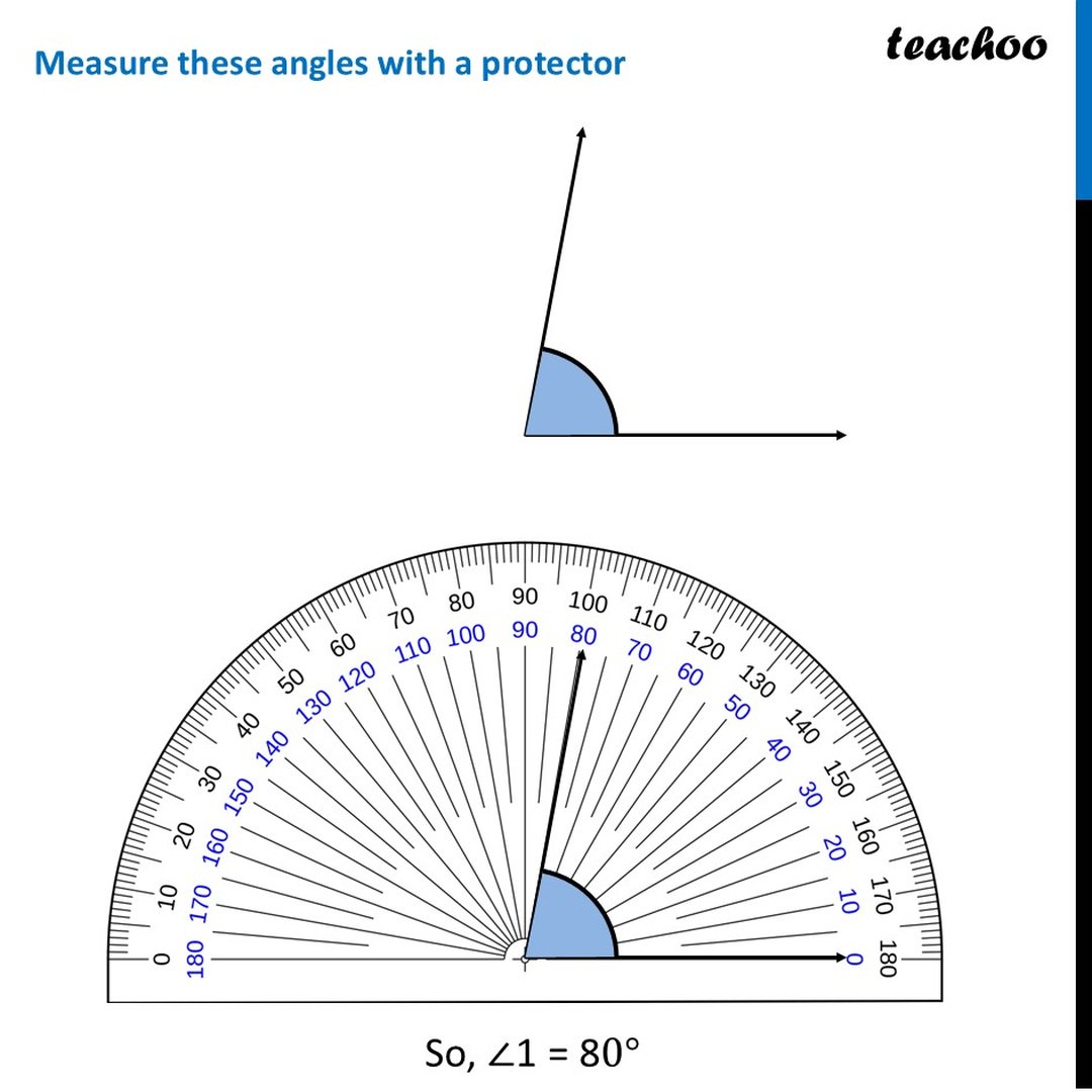 [Class 6 Lines and Angles] Labelled protactor - How to read angles