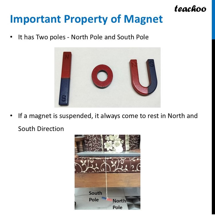 [Exploring Magnets] What are Poles of Magnet? - Class 6 Curiosity