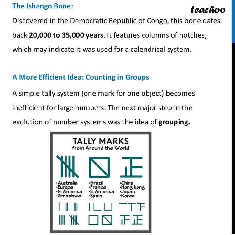Tally Marks on Bones and other Surfaces [with Examples] - Class 8