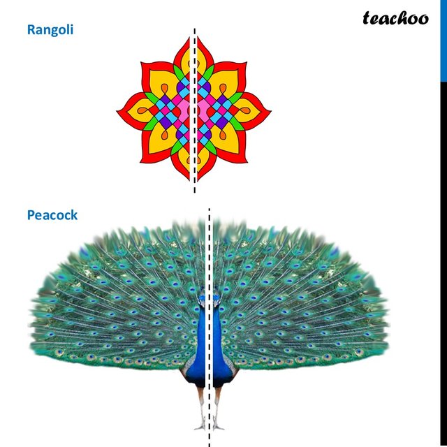 Symmetry in Everyday Life - 10+ Examples - Teachoo Maths