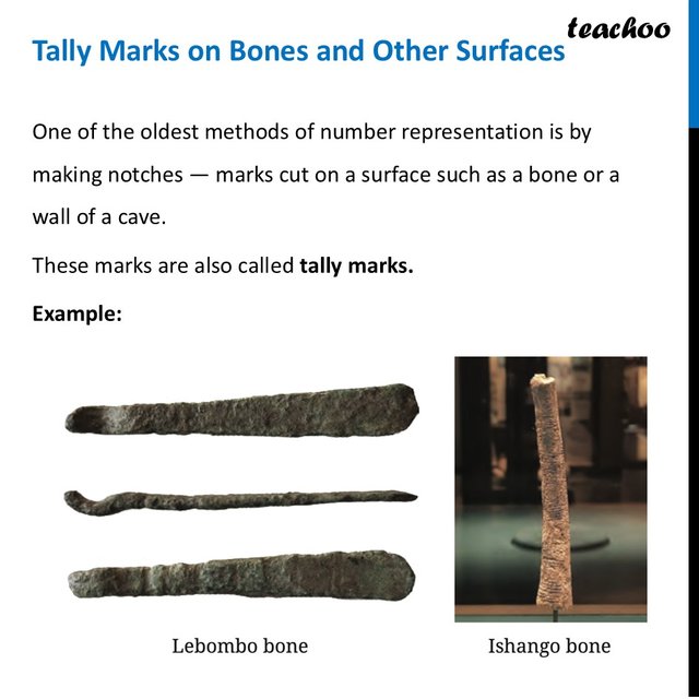 Tally Marks on Bones and other Surfaces [with Examples] - Class 8