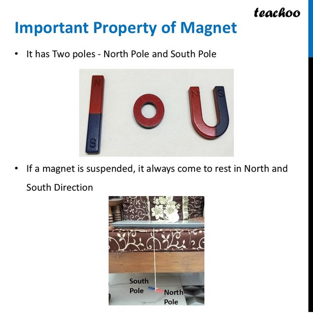 [Exploring Magnets] What are Poles of Magnet? - Class 6 Curiosity