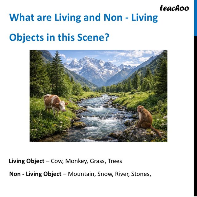 [Class 6 Living Creatures] What are Living and Non-Living objects?
