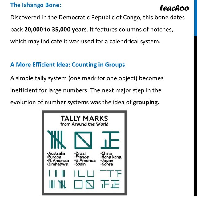 Tally Marks on Bones and other Surfaces [with Examples] - Class 8
